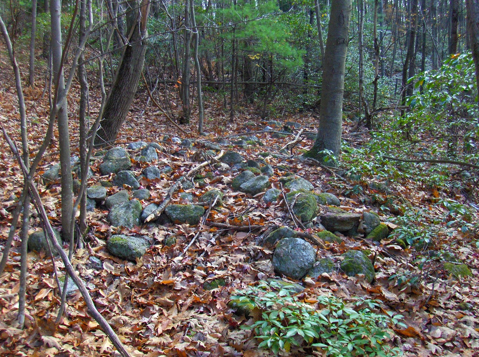 Rock Piles: Long stone mounds and small "snake effigy" high up in the ...