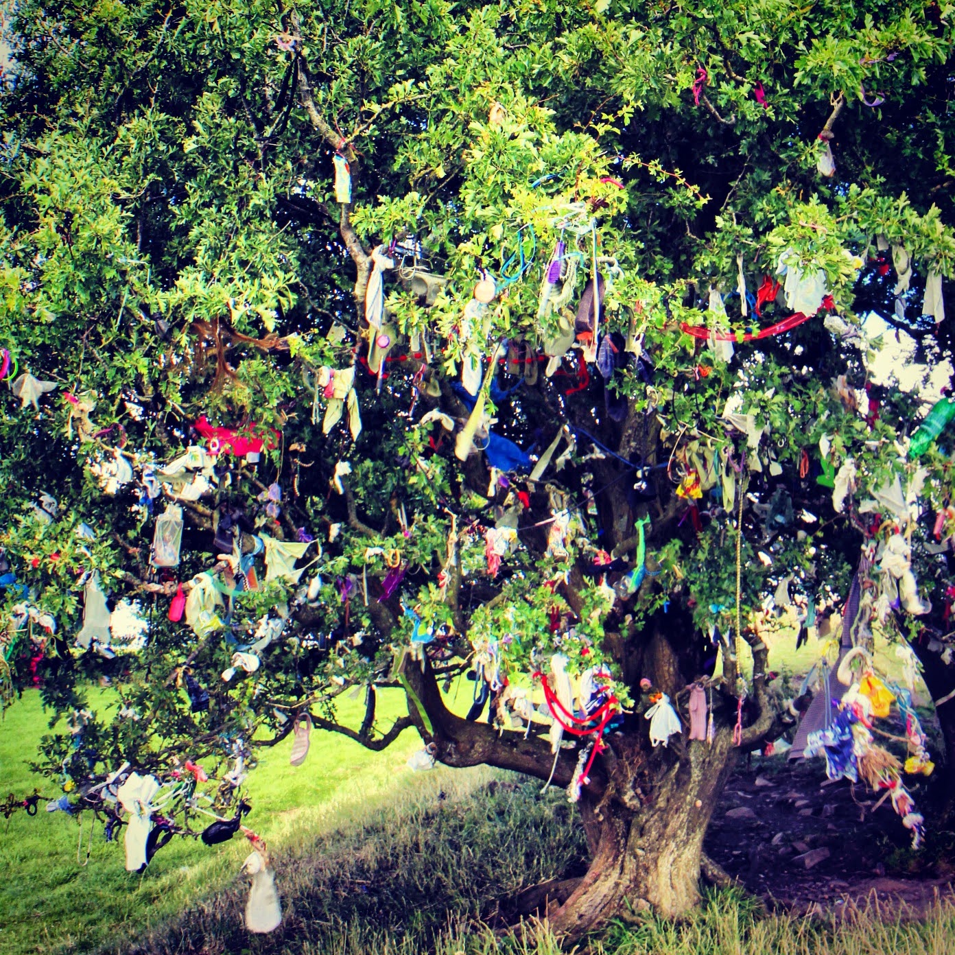 Every Day Is Special: May 1 – Beltane