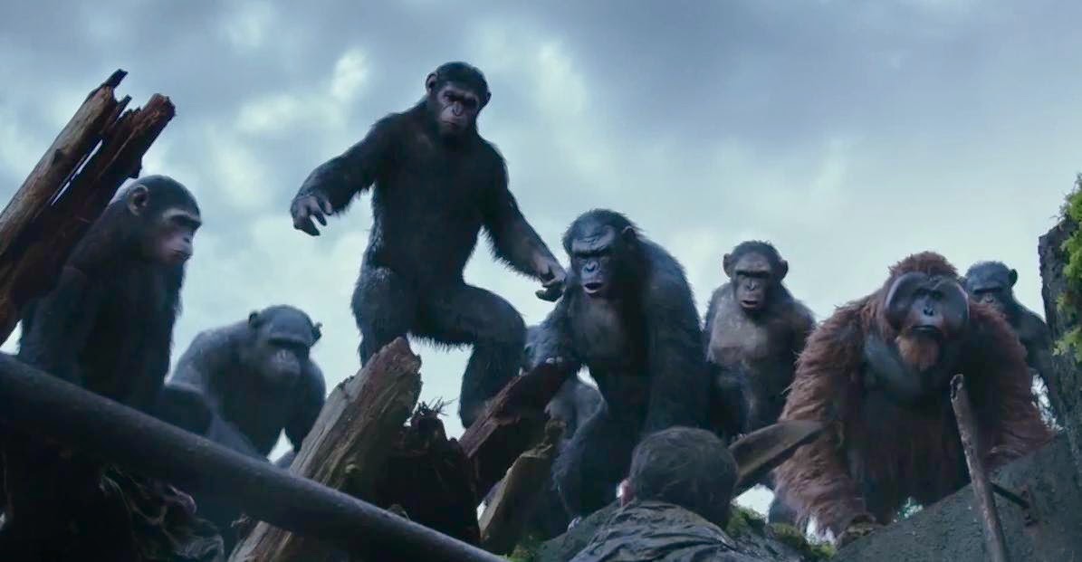 EL PLANETA DE LOS SIMIOS: CONFRONTACIÓN (DAWN OF THE PLANET OF THE APES ...
