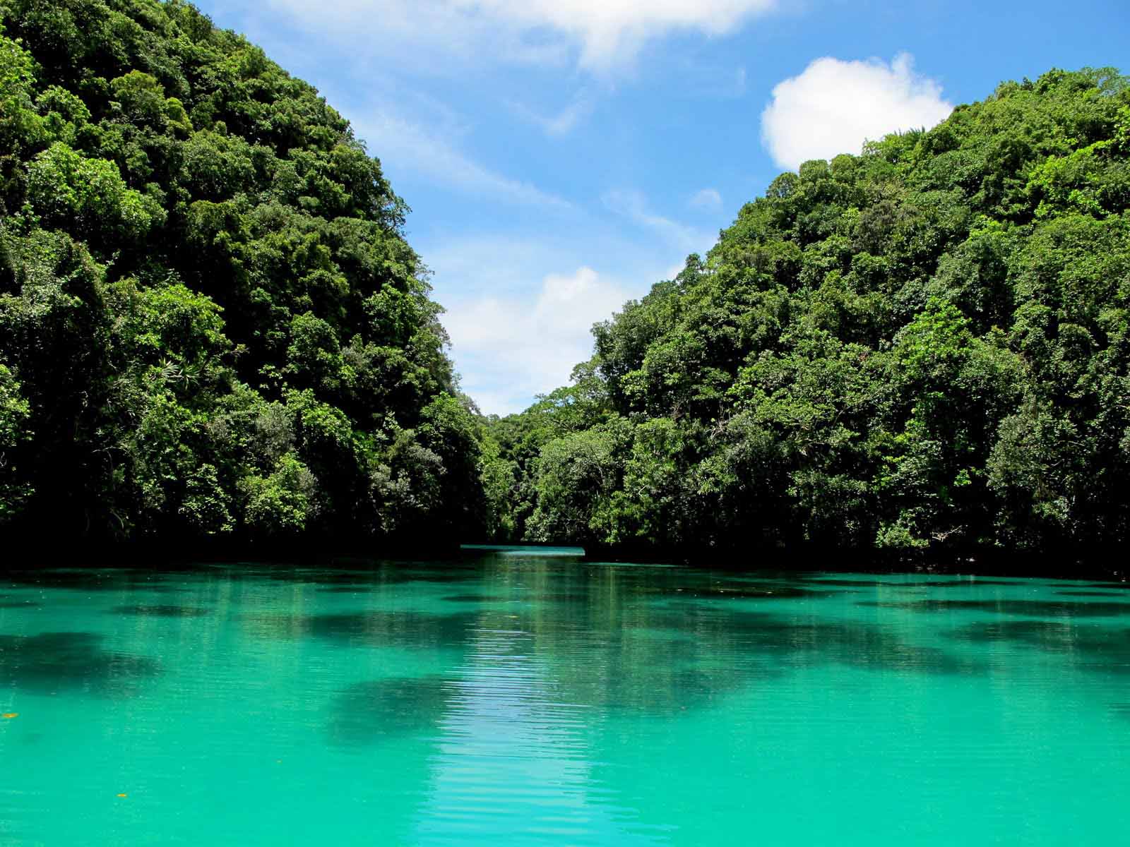 Zé Viagem: Palau - Micronésia