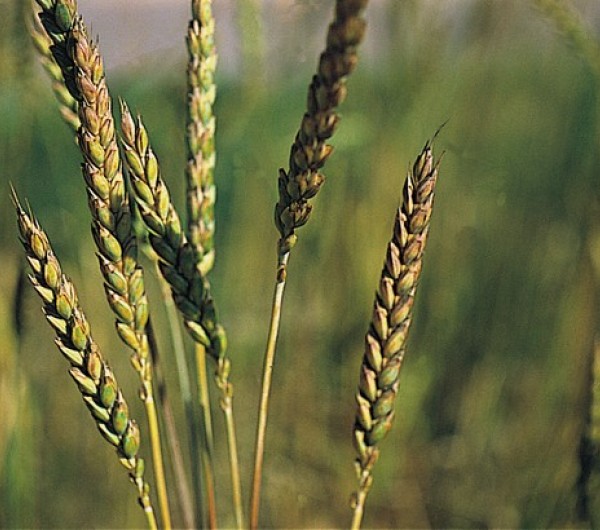 En savoir +: juillet 2019