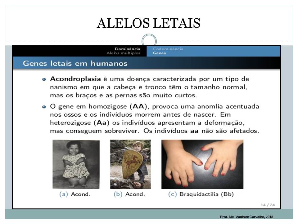 ENSINO GENÉTICA FAMASUL: EPISTASIA, PLEIOTROPIA E ALELOS LETAIS