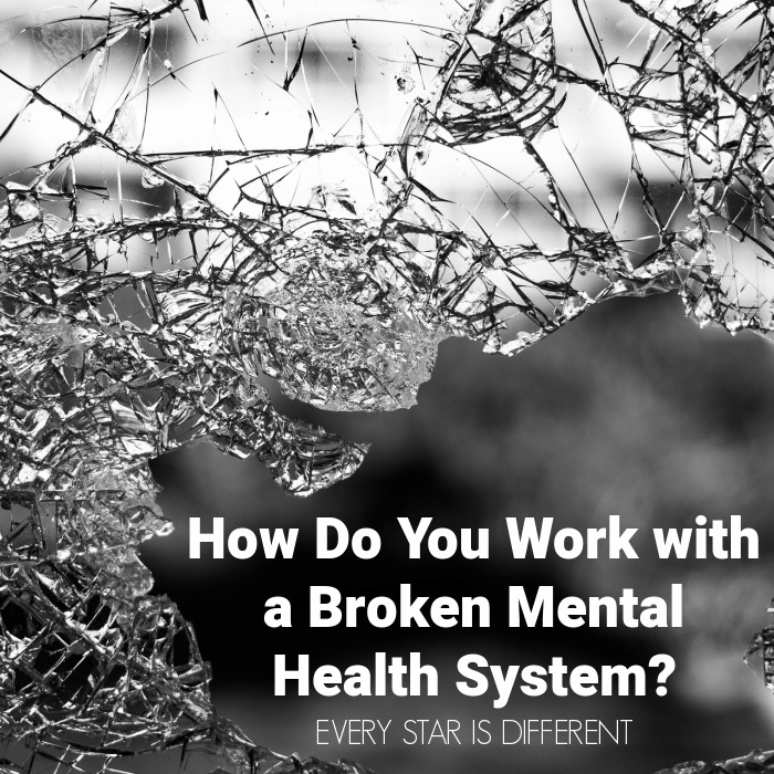 How Do You Work with a Broken Mental Health System? - Every Star Is ...