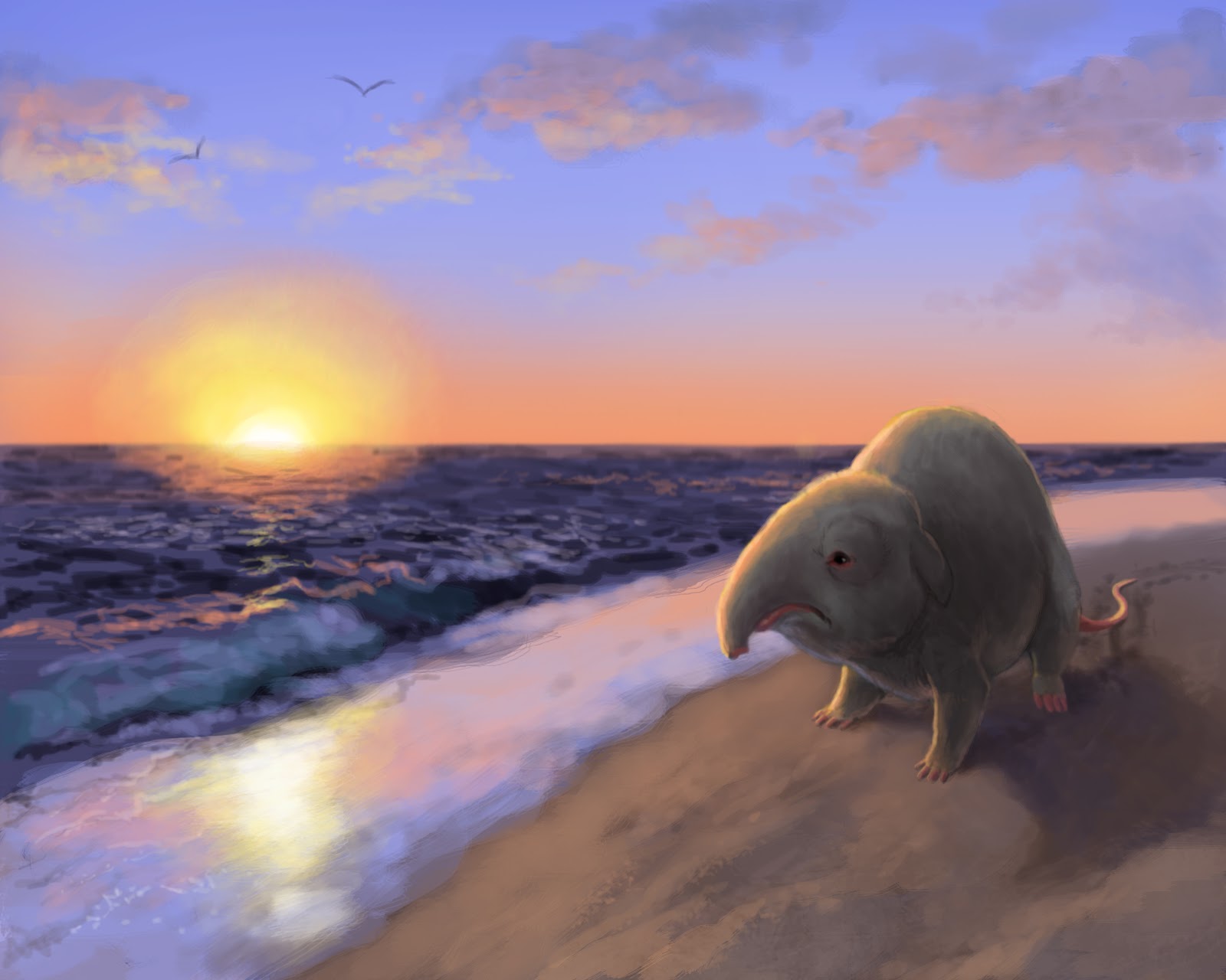 Rachel Cunningham - VIZA 630 CONTEMPORARY ART STUDIO: Final paintings ...