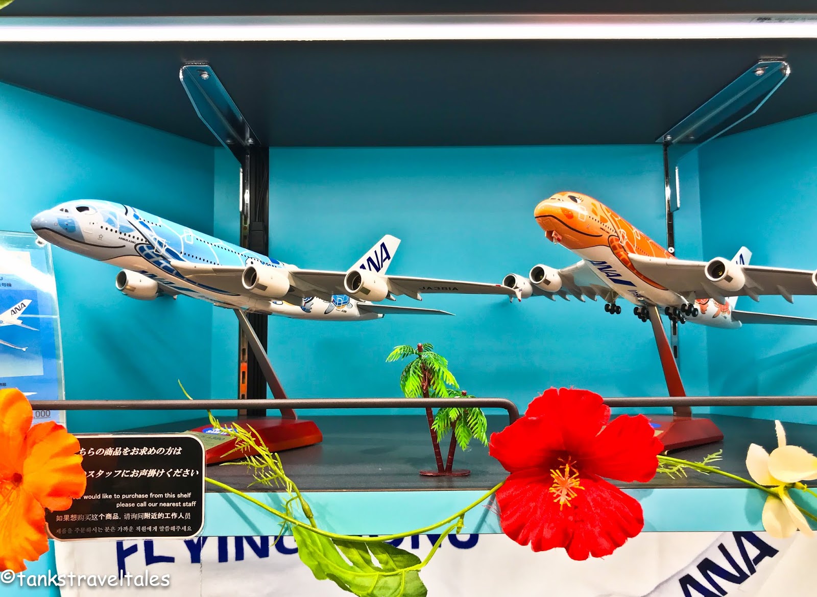 Airplane Pictures - ANA A380-800 with Turtle Livery