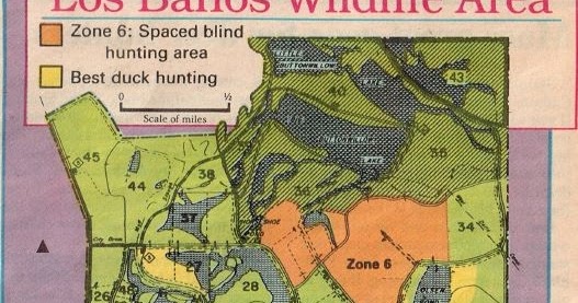 California Duck Hunting, Los Banos Refuge & Report, Duck Clubs, Blind ...