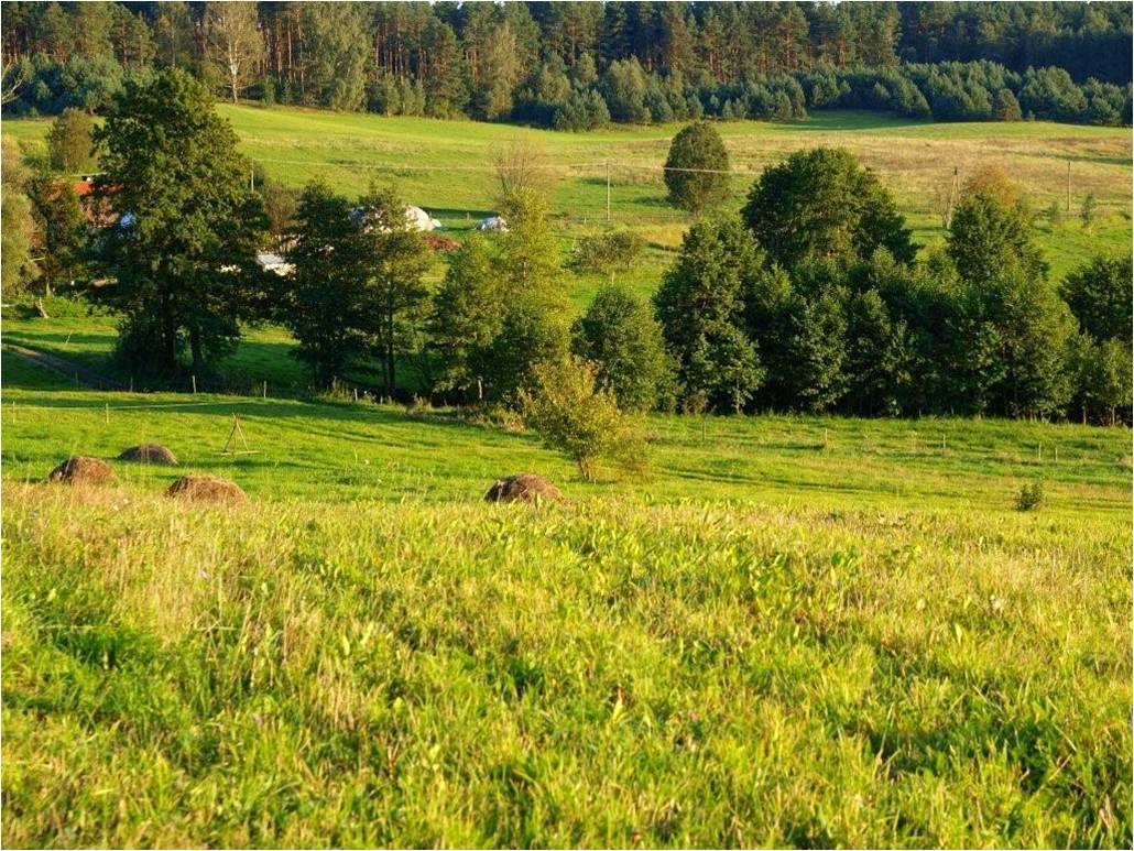 Das ABC meiner Stadt: E wie Ermland/ Das polnische ABC meiner Stadt