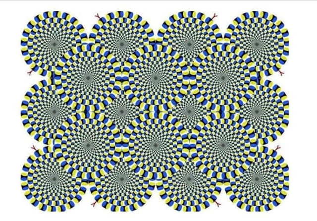 Tes Psikologi Kepribadian: Gambar Ilusi Optik (Mata) yang Menunjukan ... Tes Psikologi Kepribadian: Gambar Ilusi Optik (Mata) yang Menunjukan ...