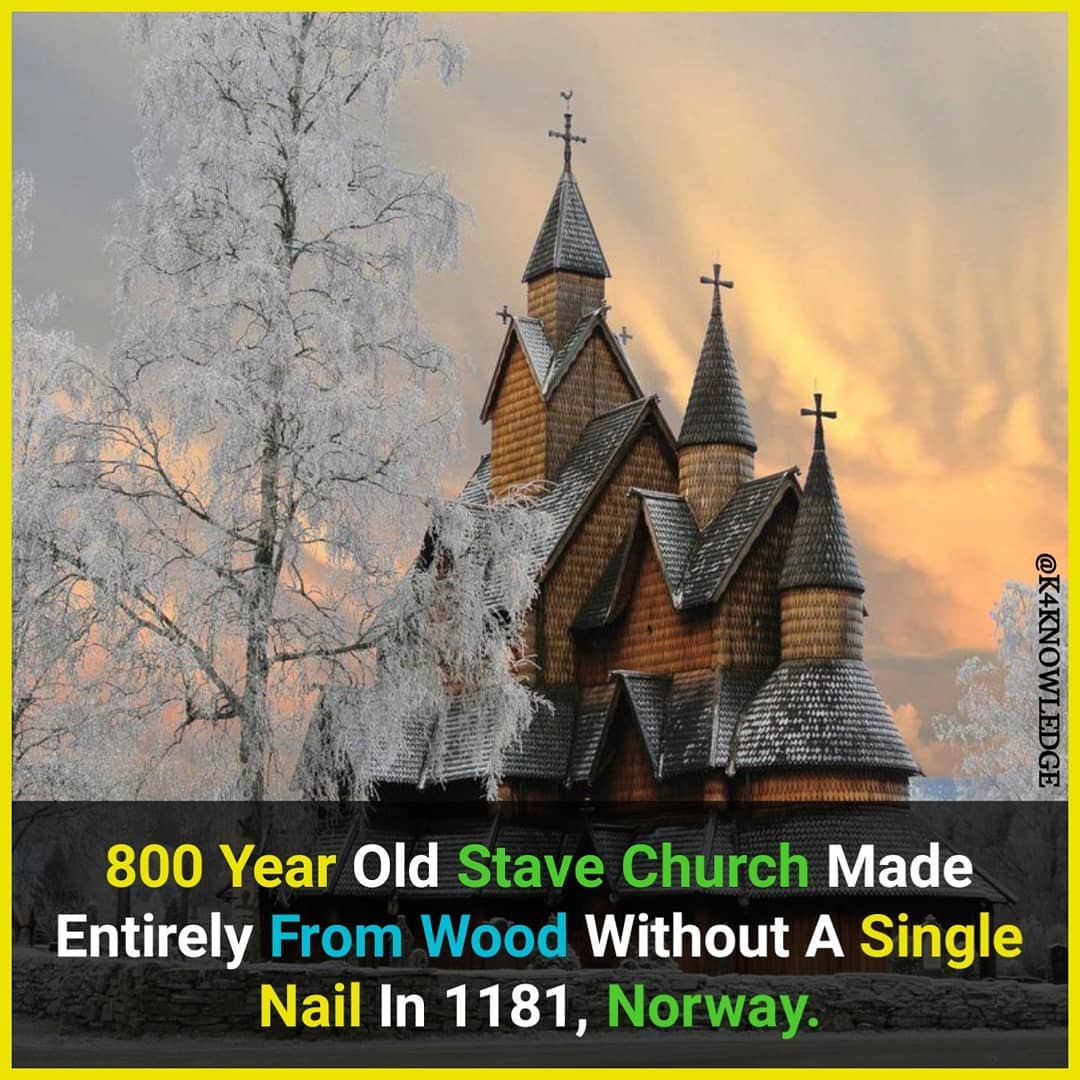 [40+] Amazing Facts, Interesting Facts