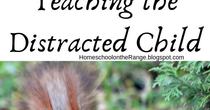 Homeschool On the Range: Teaching the Distracted Child