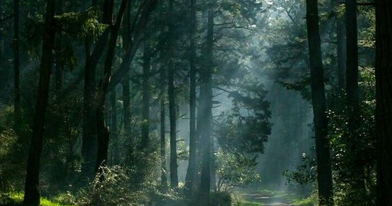 Serat sastra gending “20 petunjuk “aksara” ( Sultan Agung Prabu ...