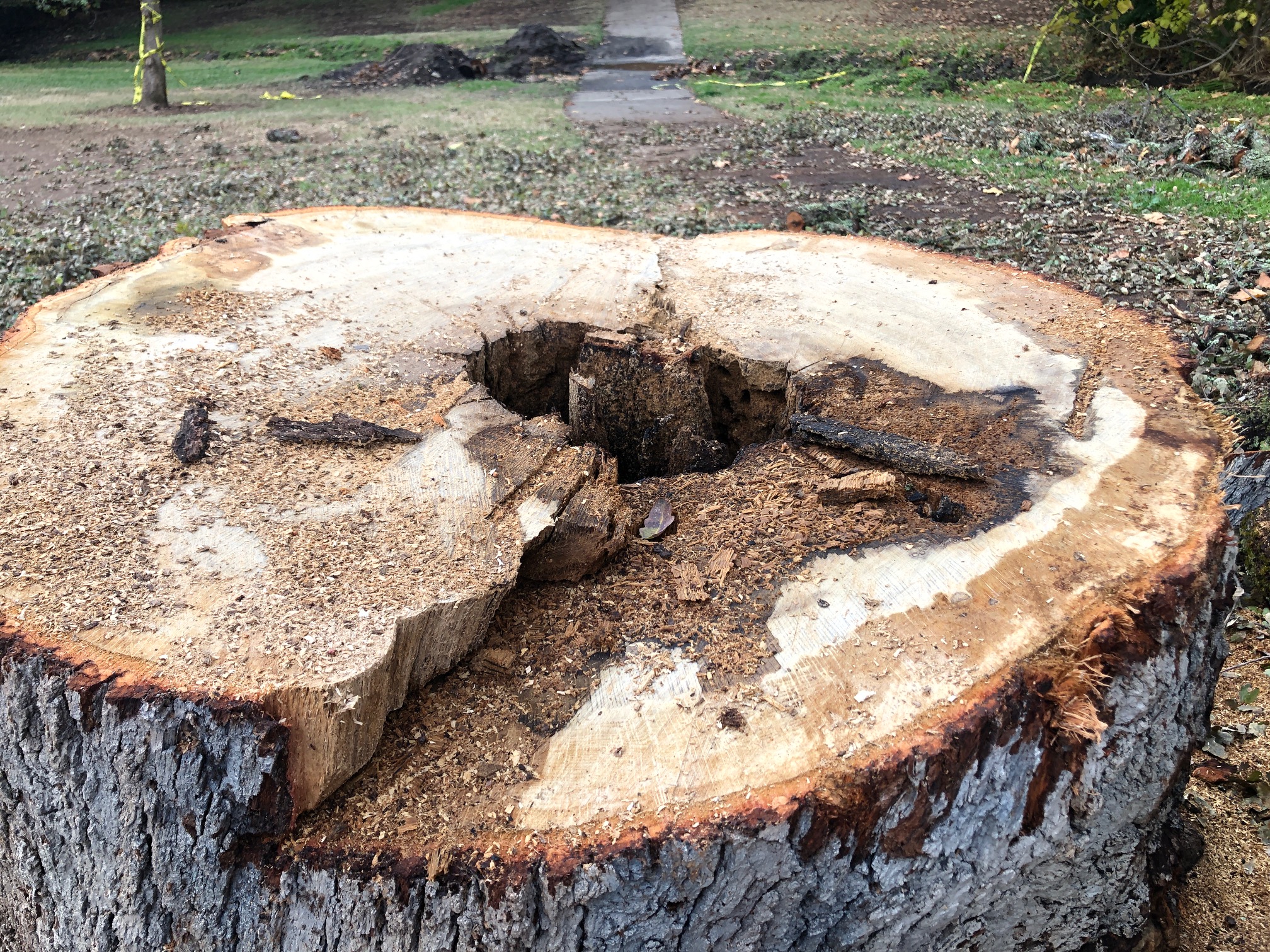 Keep bees in mind during fall and winter, too