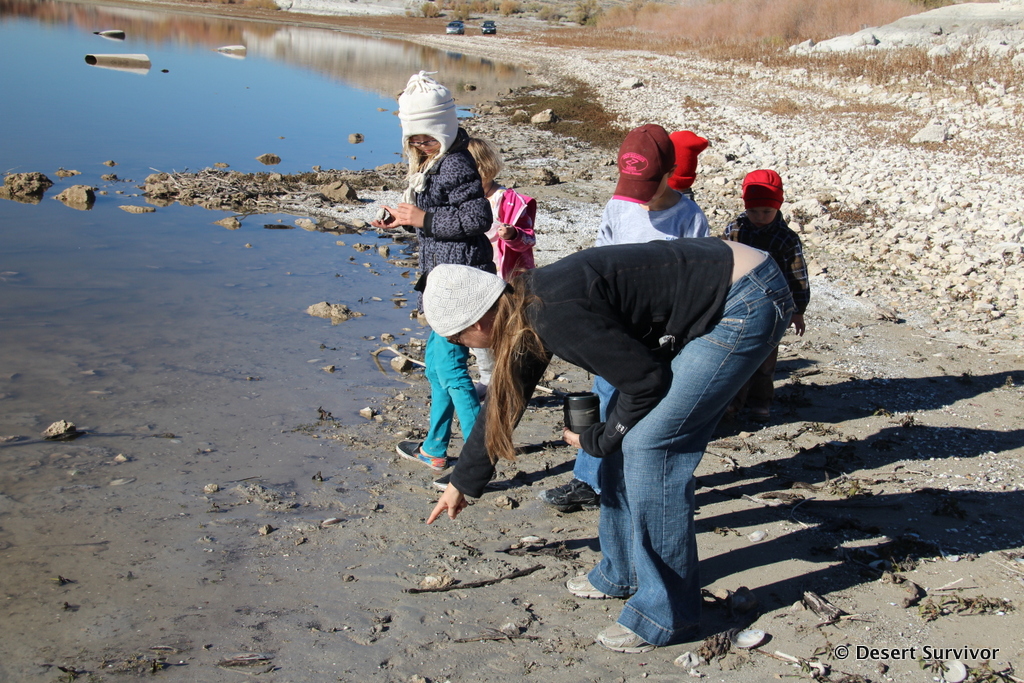 Desert Survivor: An Early Winter Visit to Pruess Lake