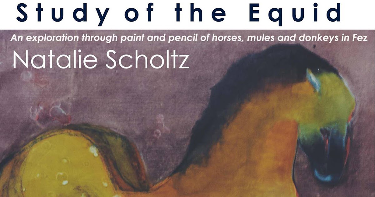 THE VIEW FROM FEZ: Equid Opening - a Great Success