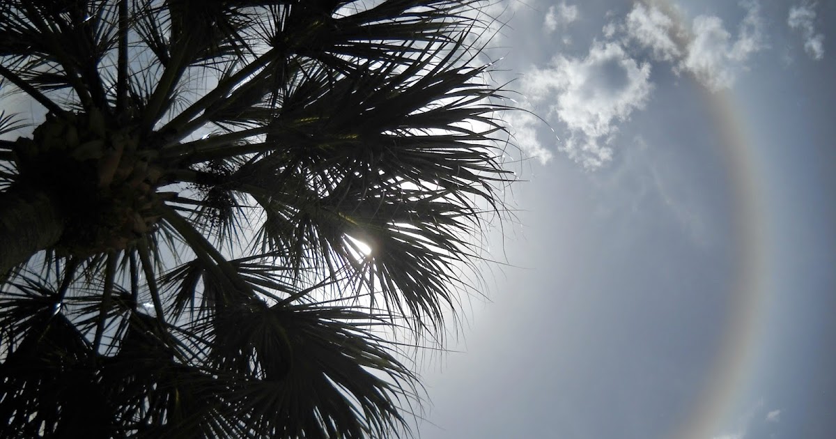 From Tracie: Ring Around The Sun