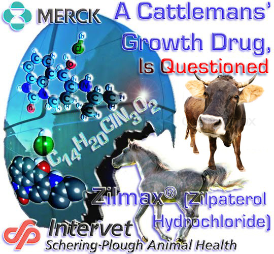 Just A Life Sciences Blog...: Still Not Material: Merck Halts Zilmax ...