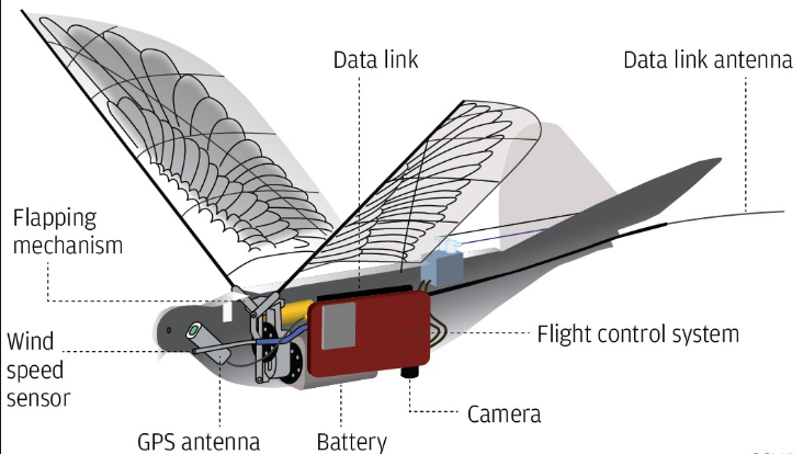 Robot Birds | An alternative of drones