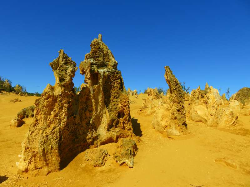 The Travelling Lindfields: Pinnacles and Stromatolites: Ancient ...