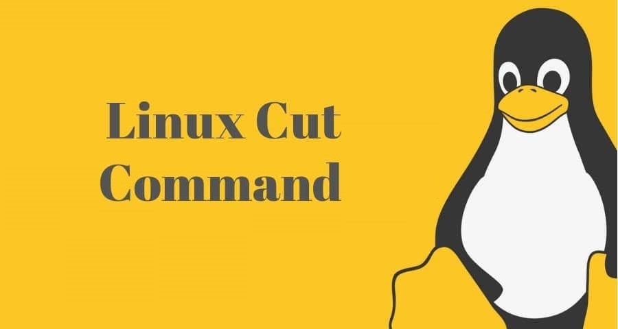 How To Use The Linux Cut Command With A Field And Delimiter Lpi Central