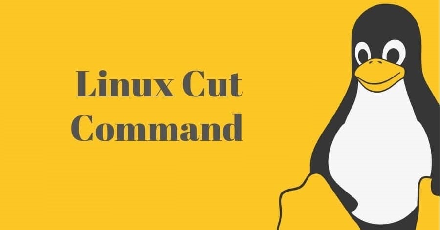 How to use the Linux cut command with a field and delimiter | LPI Central
