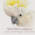 Matteo Grilli Wildlife Art