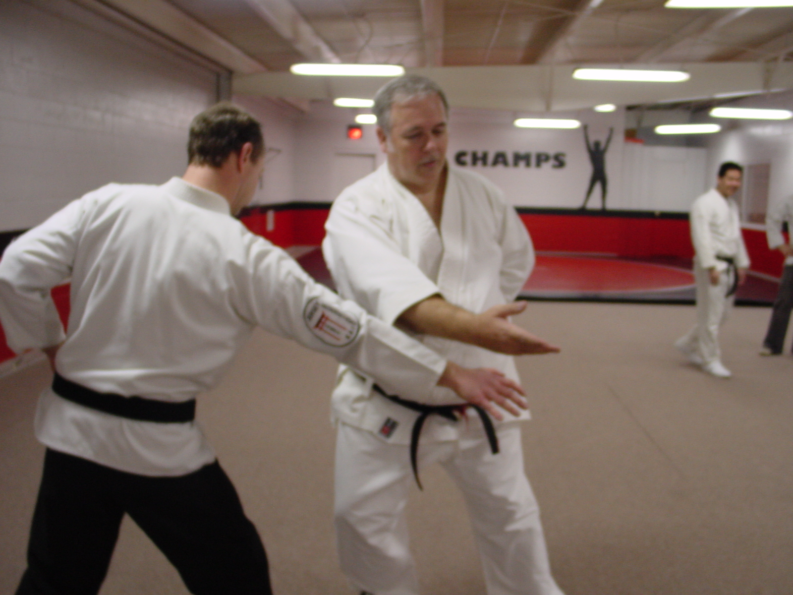 Isshin - Concentration the Art: When you only have one hand free