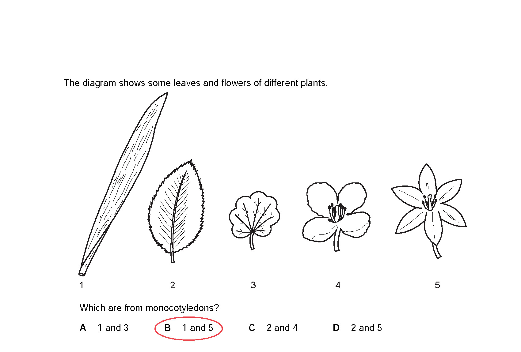 Characteristic and Classification of Living Organisms Paper 2 Solved ...