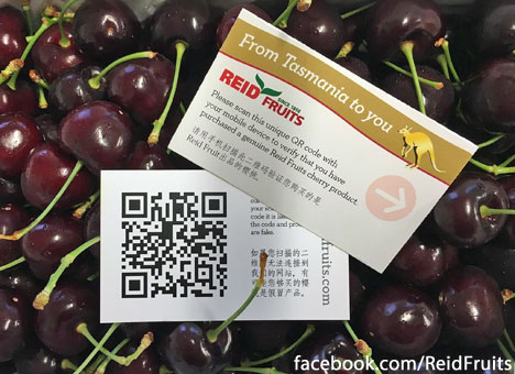 New Norfolk NEWS: Cherry grower gets cyber-smart