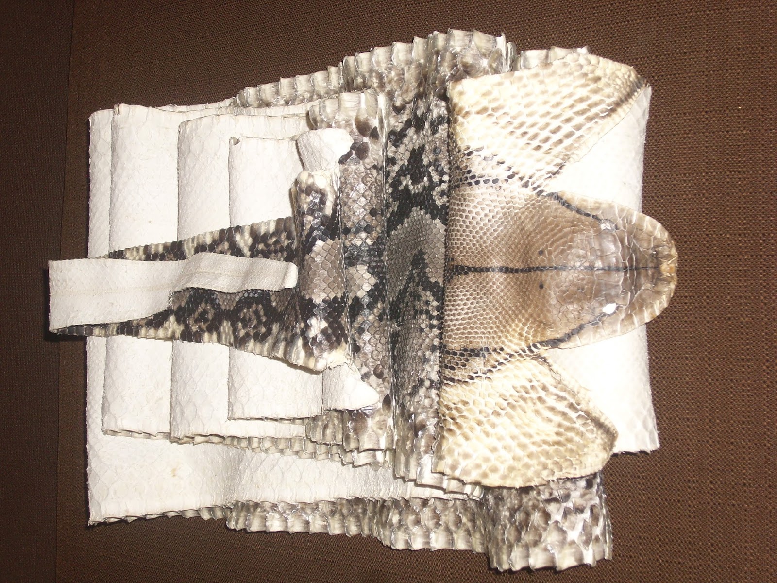 Taksidermi dan Pengawetan Kulit: Tanning Kulit Ular Sawa Batik (Python ...