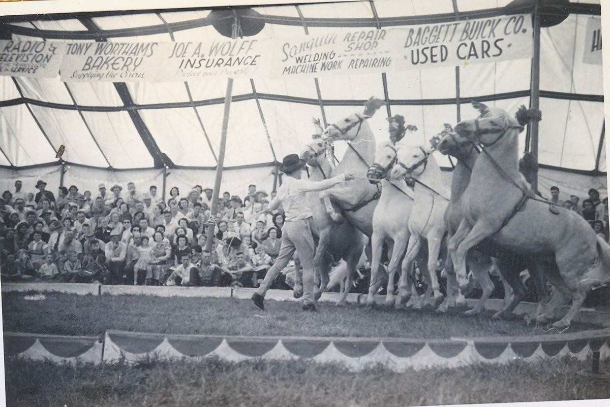 The Circus "NO SPIN ZONE": Tommy Bentley--Kelly Miller Circus 1950's