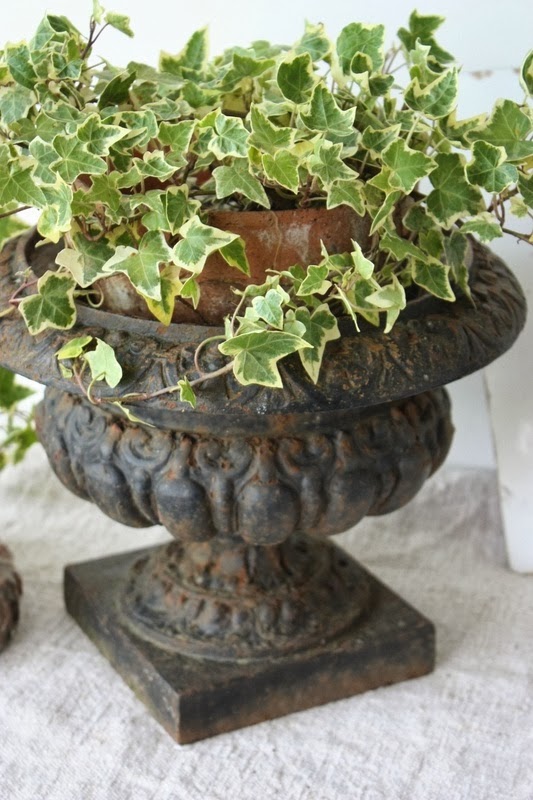 Roses and Rust: The Aesthete's Alphabet - I is for Ivy