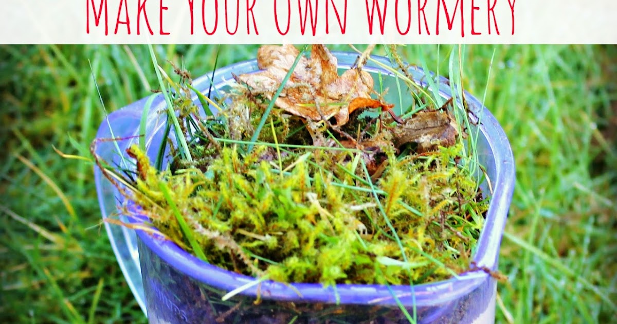 Sun Hats & Wellie Boots: Make Your Own Wormery with "Superworm ...