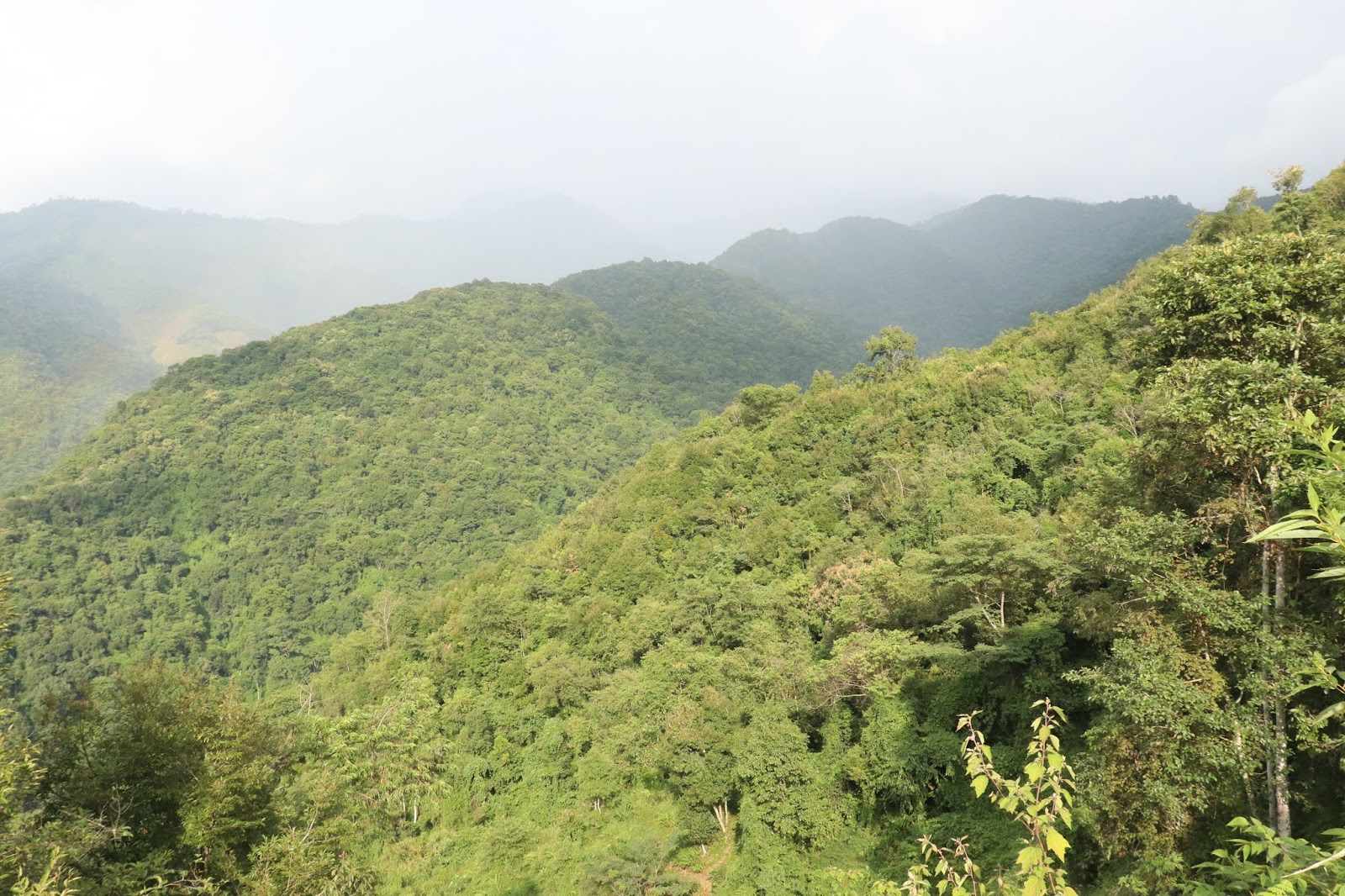 Nagaland Community Conserved Areas Forum: Tizu Valley Biodiversity ...