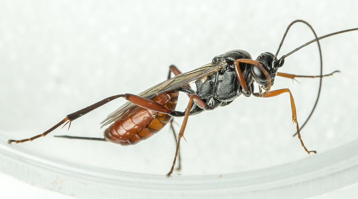 Utgångspunkt 63° 31,x' N - 22° 31,x' O