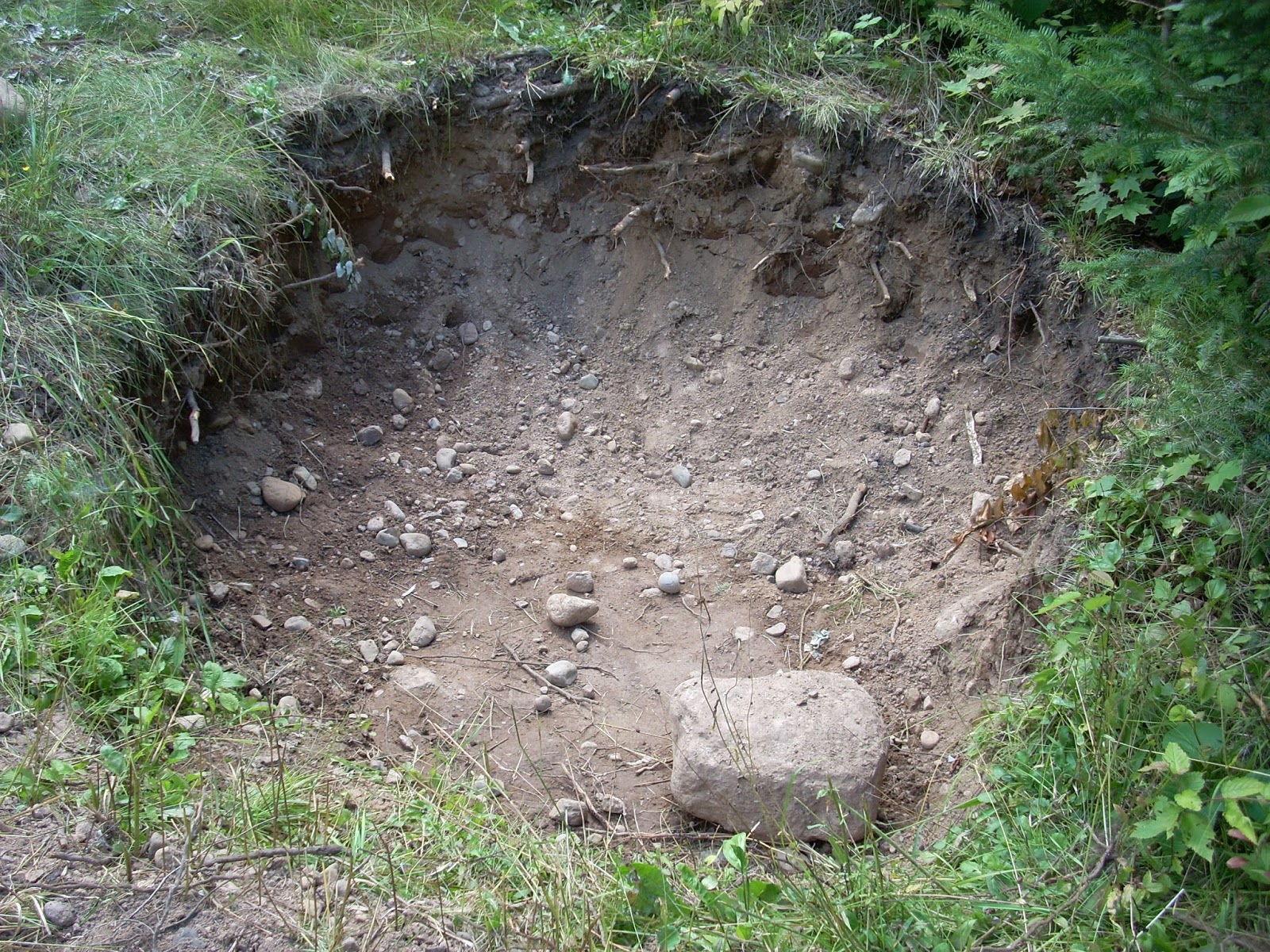 Swamp Creek Farm: Working Feverishly