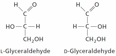 Sandwalk: Better Biochemistry: Fischer Projections