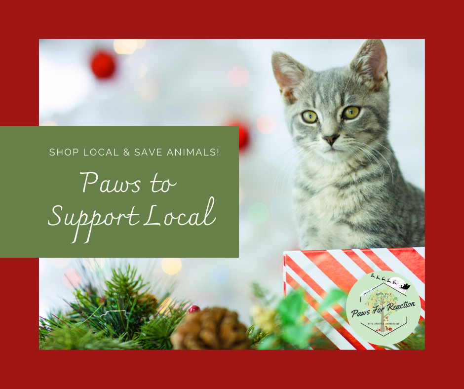 Helping holiday paws: Support local businesses & animals in need during ...