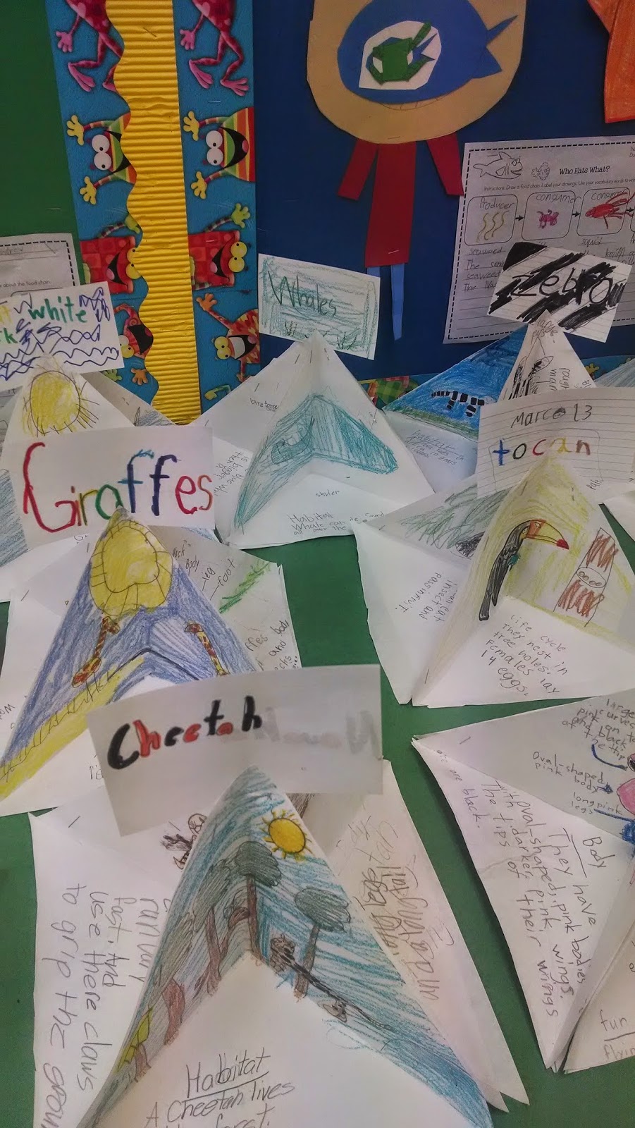 Live, Laugh...Teach!: Animal Research Projects