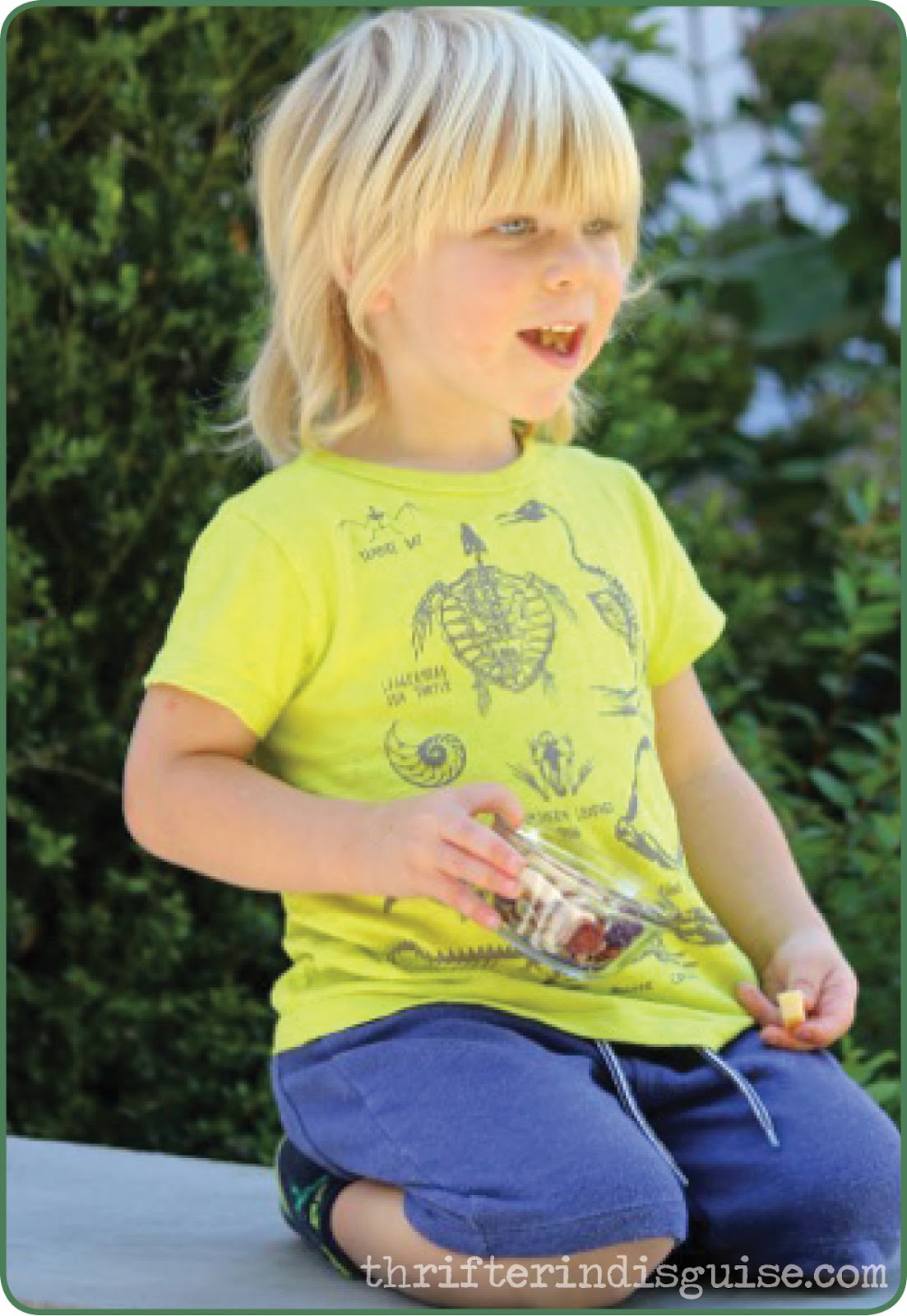 A Thrifter in Disguise: Quick & Easy, Nut-Free, Kids Snack Idea