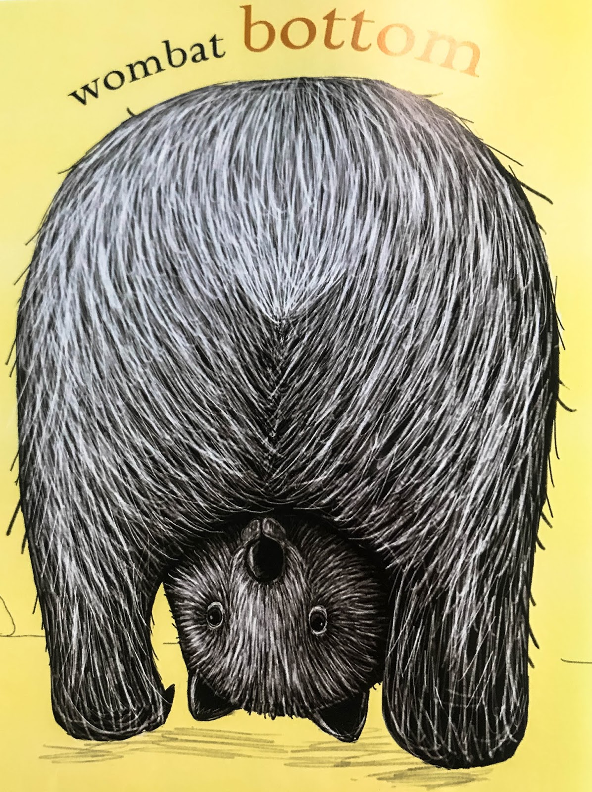 My week in pictures: The Poggle & Bucket