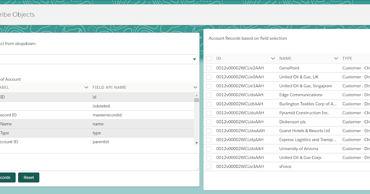 Exploring On Salesforce Describe Objects And Retrieve Records Using