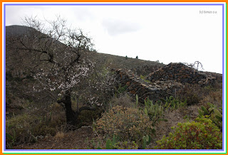 Tenerife senderos......: TENERIFE SENDEROS --GUIA ISORA-- EL JARAL -LAS ...