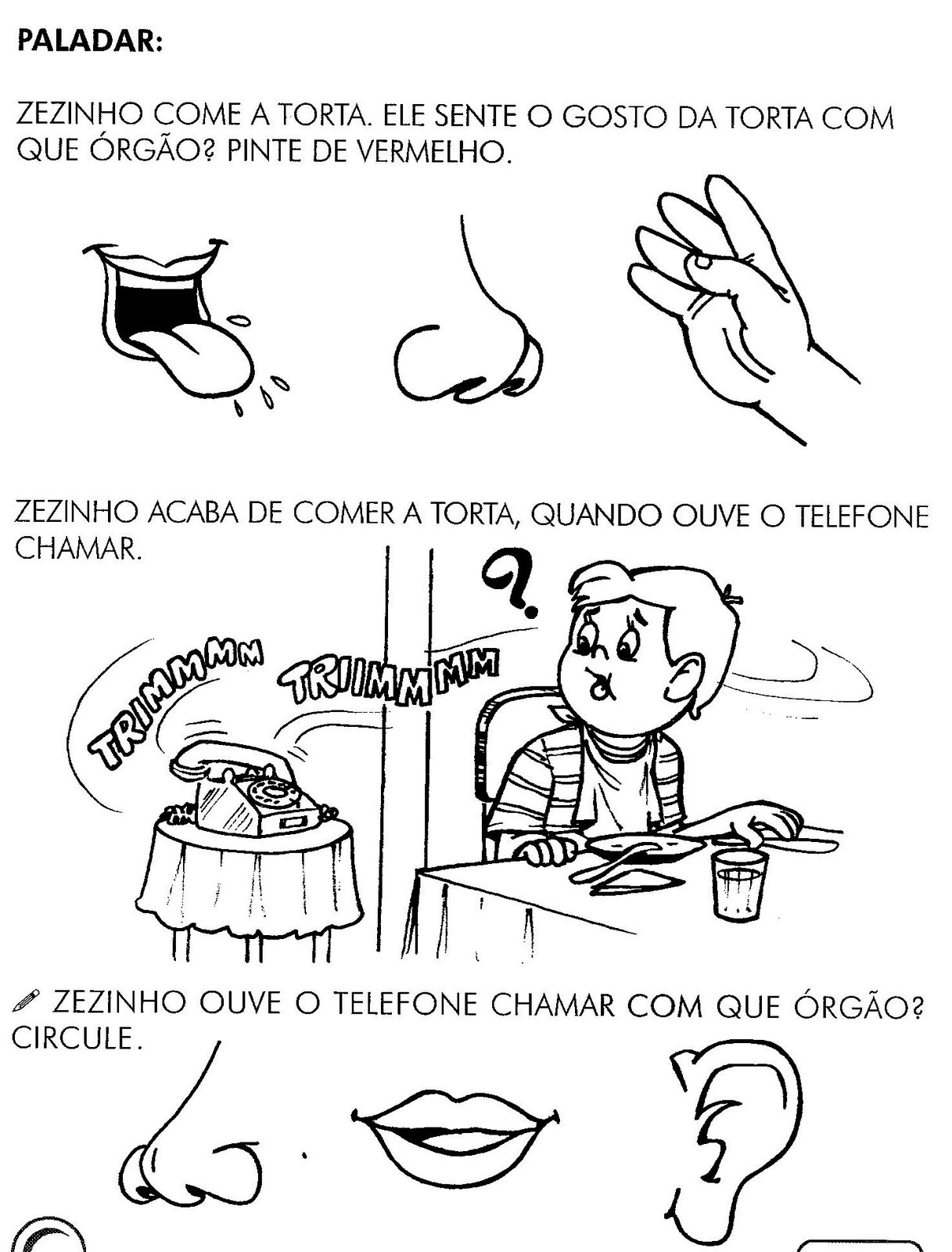 Escola Saber: Atividades de ciências os cinco sentidos