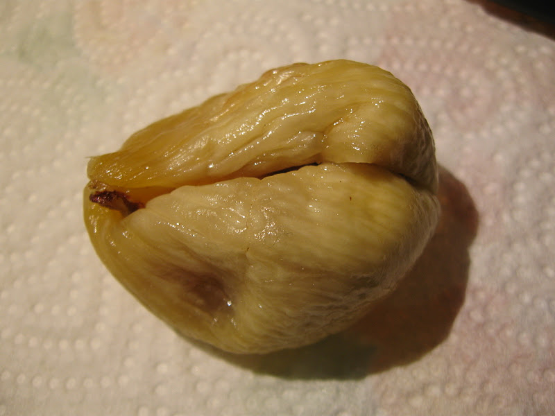 Le Delizie della Mia Cucina: Un bel Fico secco e un Sereno Natale a tutti