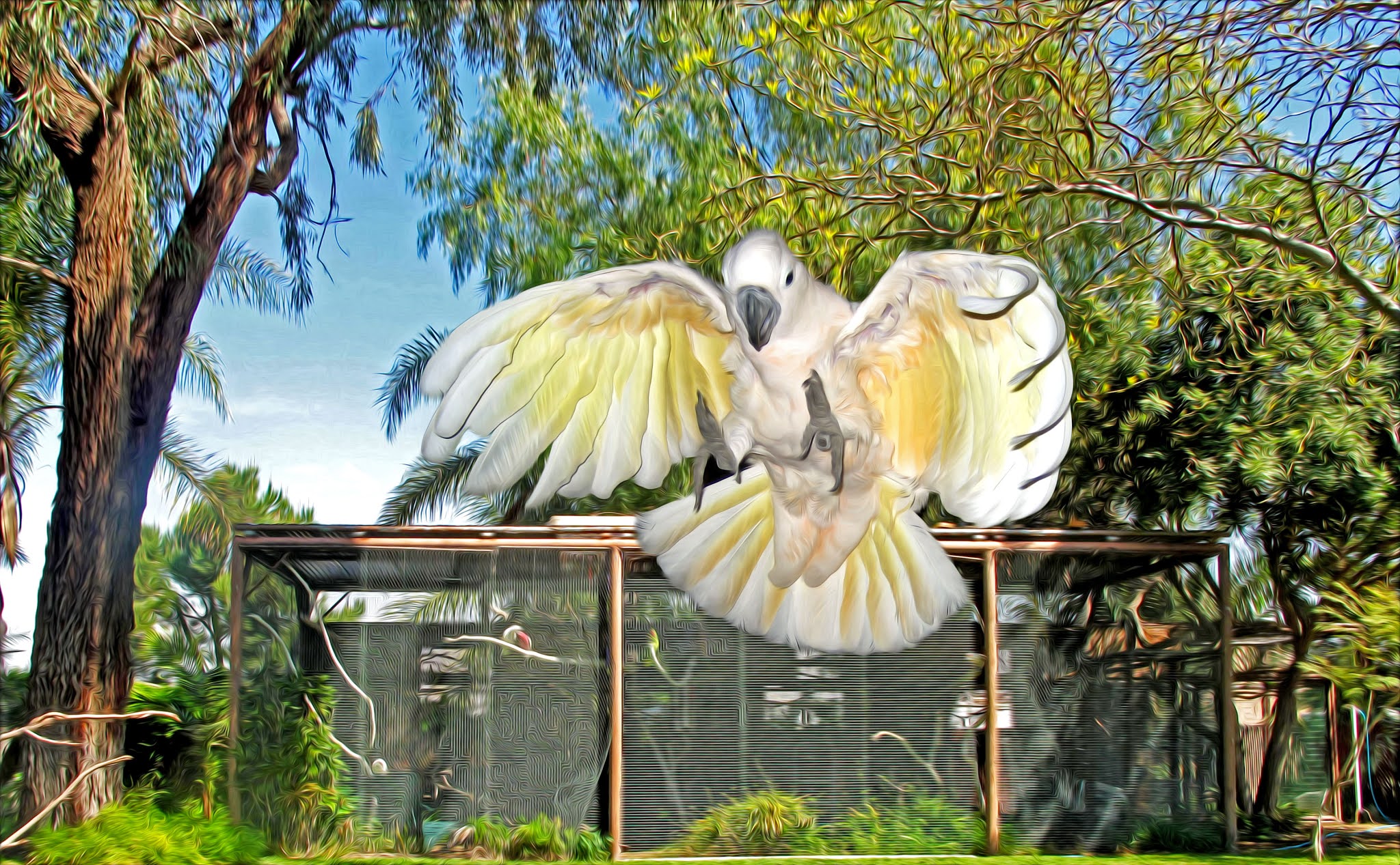 When The Aviary Got Built In 2004!