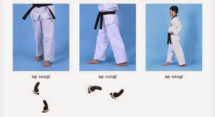 New Tae Kwon Do: Seogi (Kuda-kuda) dalam Taekwondo
