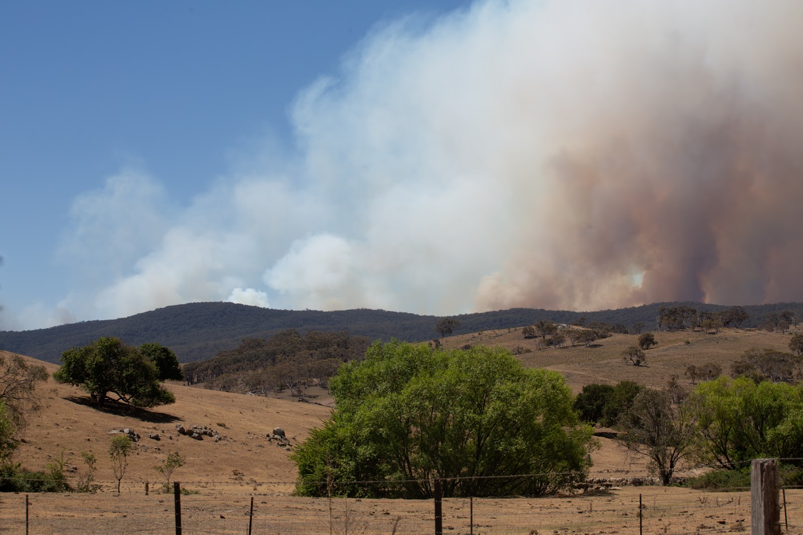 Tallaganda Fire (North Black Range Fire and Palerang Fire)
