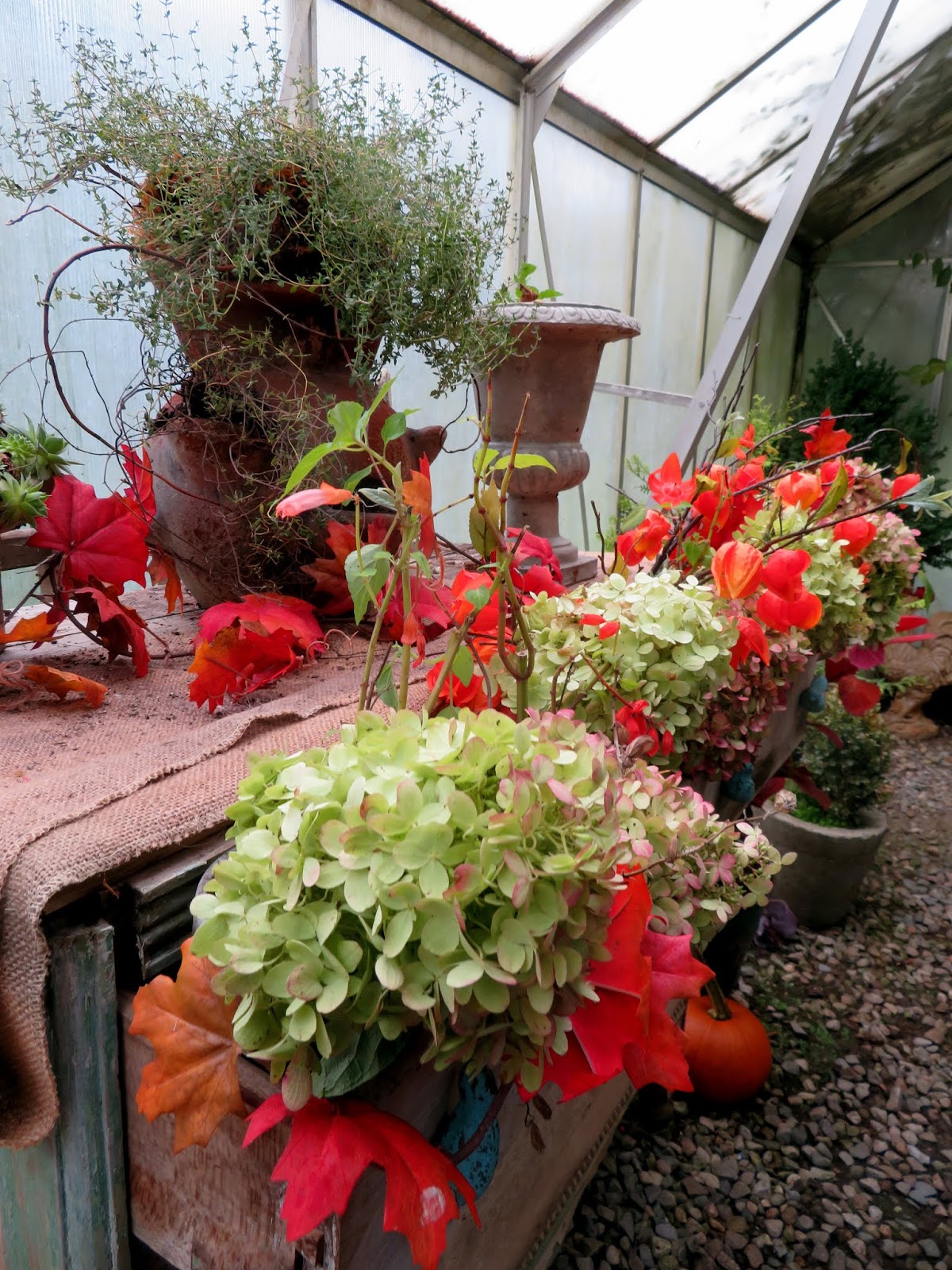 The Marmelade Gypsy: Southern Exposure: Hops and Bittersweet Swag