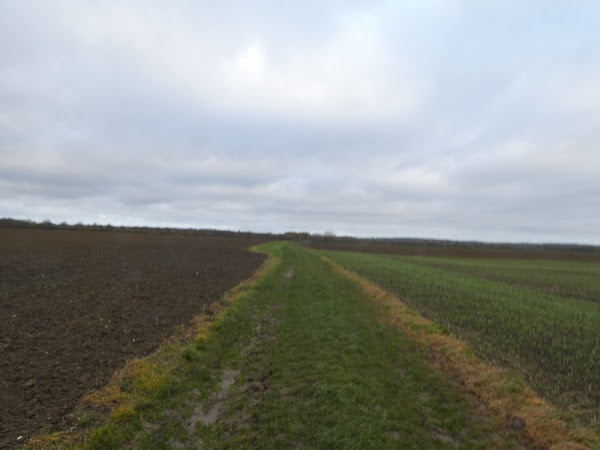 Boz North's Trail - Walking Blog: Whaddon to Cambridge via The Wimpole ...