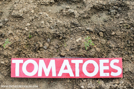 Vintage Inspired 'Tomatoes' Sign - Tiff W. - on the creek blog
